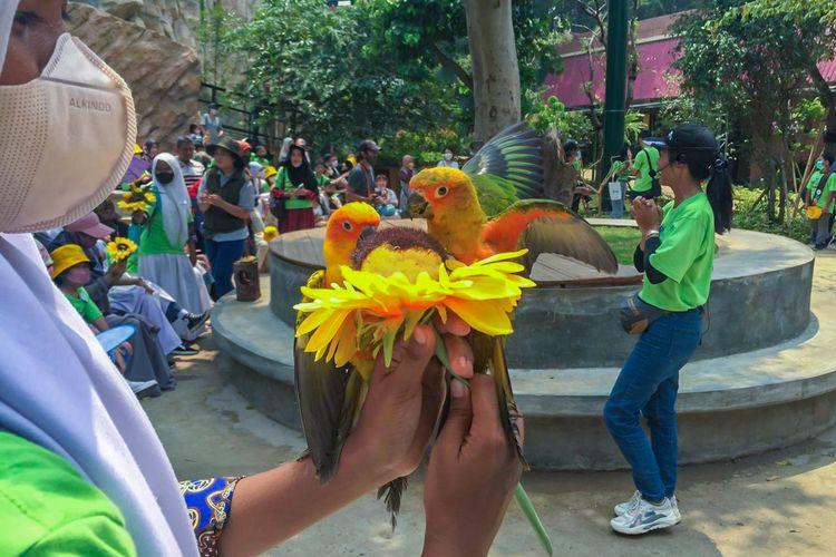 Jam Buka, Harga Tiket Masuk, dan Rute ke Jakarta Bird Land Ancol ...